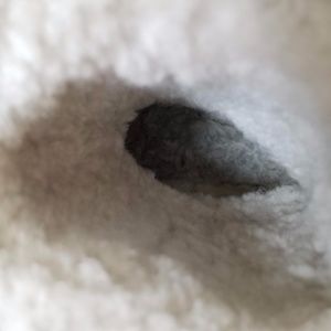 Emu | Shoes | Emu Women Grey Sheepskin Snow Winter Boots Shoes | Poshmark